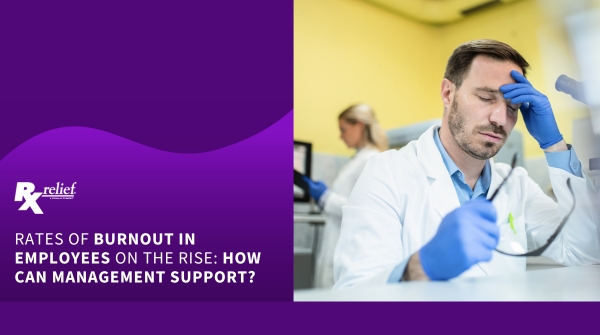 How Can Management Support Burnt Out Employees | Rx relief